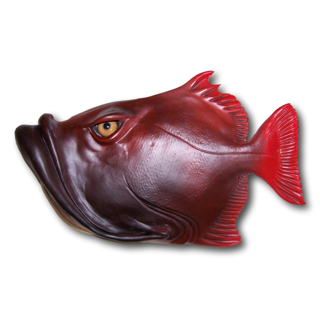 Billy Jack Fish - Fish With Attitude by Mike Quinn
